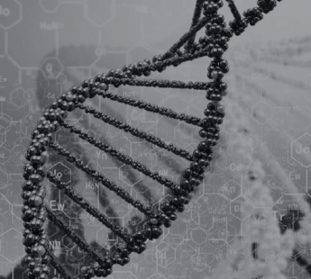 Cyberataki w 2023 roku w Polsce i na świecie - Simplicity